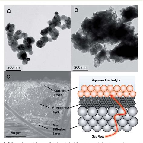 Figure 2 From Electrochemically Driven Cn Bond Formation From Co2 And