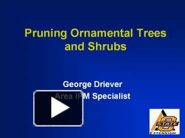 PPT Pruning 20Ornamental 20Trees 20and 20Shrubs PowerPoint Presentation Free To Download