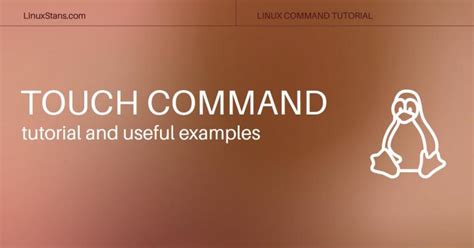 Touch Command On Linux Tutorial And Examples