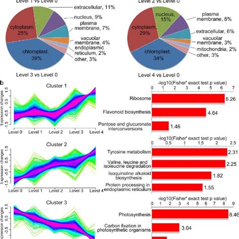 Subcellular Localization And Hierarchical Clustering Analysis Of Deps Download Scientific