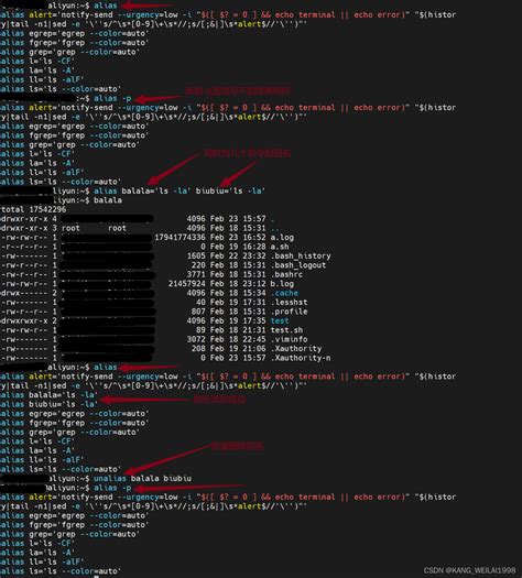 Linux Alias查看设置 命令别名alias Name Command Csdn博客