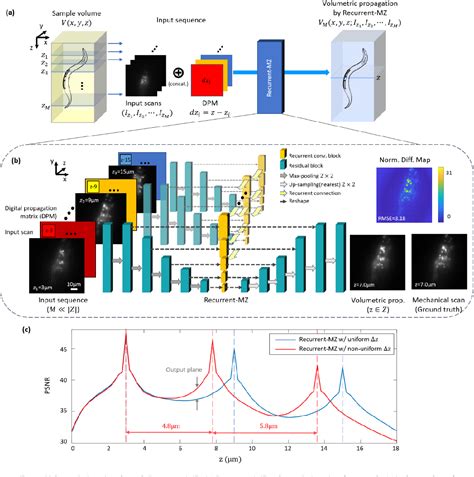 Figure 1 From Volumetric Fluorescence Microscopy Using Convolutional