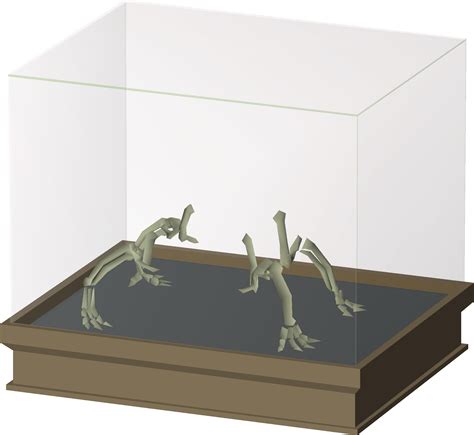 File Medium Fossil Display Mushtoise Limbs Png Osrs Wiki