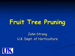 PPT Tree Pruning PowerPoint Presentation Free Download ID 1390278