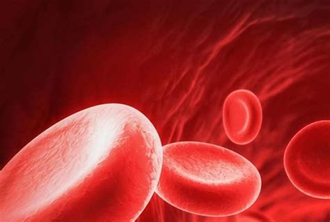 血液，除了红色之外竟然还有绿色和蓝色的血看完必长见识！