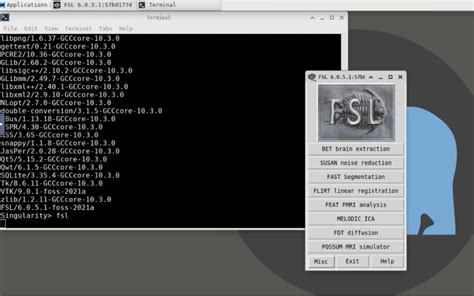 Introduction To Linux MRI On BEAR