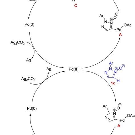 Plausible Catalytic Cycle For The Homocoupling And Cross Coupling