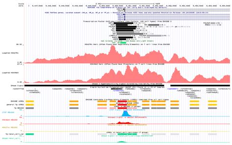 In Silico Analysis Of Rs10815225gc Pd L1 Polymorphism In Relation To Download Scientific