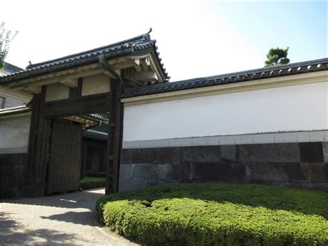 健康保険資格確認書 愛猫とシエスタ 午睡