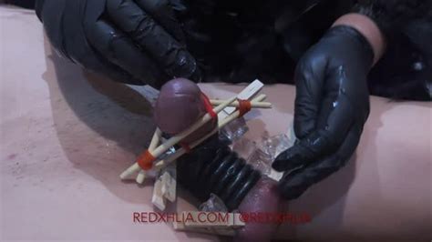 CBT TEMPERATURE PLAY Goddess Dahlia Clips Sale