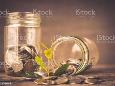 오래 된 나무 배경에 유리 항아리에 동전과 소프트 포커스 아기 나무 비즈니스 Financce 고 돈을 Concpt 절약입니다 개념에 대한 스톡 사진 및 기타 이미지 Istock
