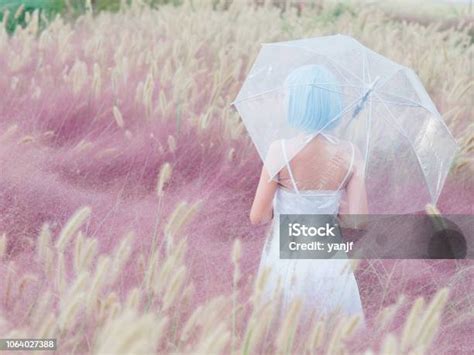 아름 다운 젊은 중국 여자 화이트 홀 터 넥 드레스를 입고 고 들고 핑크 Hairawn의 한가운데에 서 있는 투명 우산 Muhly 꽃 필드의 후면 볼 수 있습니다 가냘픈에