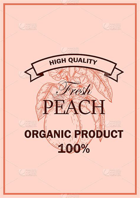 手绘桃树图案矢量插图在素描风格
