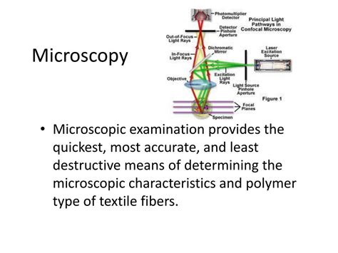 Ppt Fiber Analysis Powerpoint Presentation Free Download Id2270254