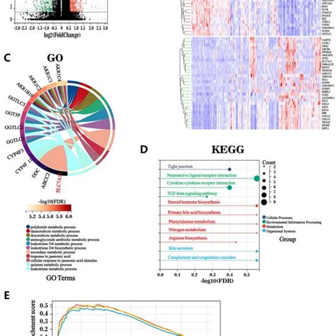 Differential Gene Expression And Potential Signaling Pathways In
