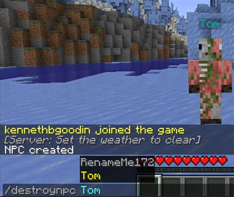 Npc Spigotmc High Performance Minecraft Community