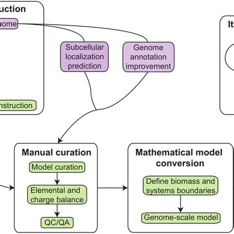 Metabolic Network Reconstruction Workflow In Step One We Obtained A Download Scientific