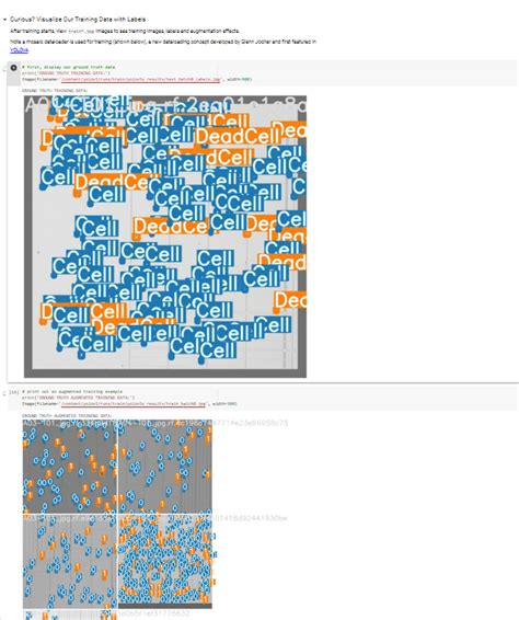 Test Image Has No Labels Issue Ultralytics Yolov GitHub
