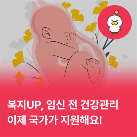 임신 사전 건강관리 이제 무료로 받을 수 있어요 네이버 블로그