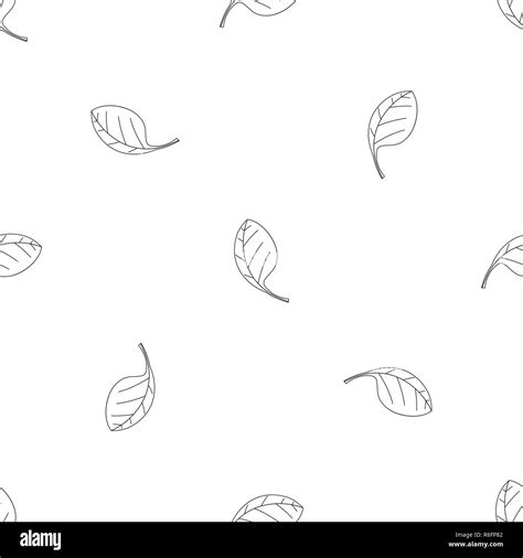Spinach Leave Icon Outline Illustration Of Spinach Leave Vector Icon For Web Design Isolated On