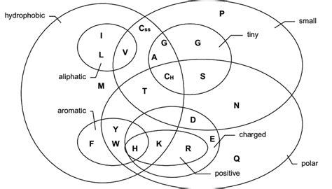 Amino Acids Venn Diagram Venn Representing Acids Naturally O