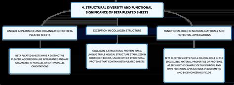 The Role Of Beta Pleated Sheets In Protein Structure And Function Algor Cards