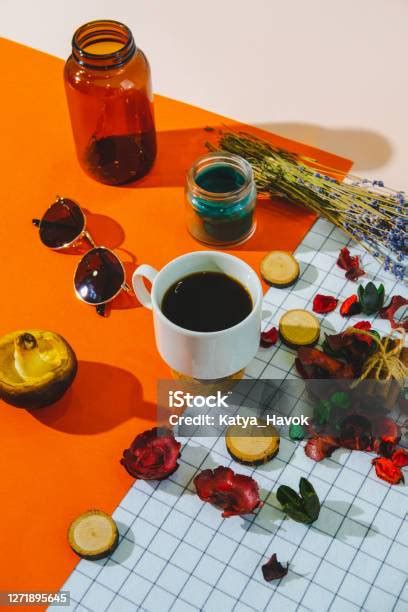 커피 에스프레소 또는 카푸치노 선글라스 라벤더 항아리 계피 나무 컷 화려한 꽃잎과 잎 버섯과 녹색 촛불활기찬 오렌지 부드러운 분홍색 파란색과 흰색 배경 패션 세련되고 트렌디