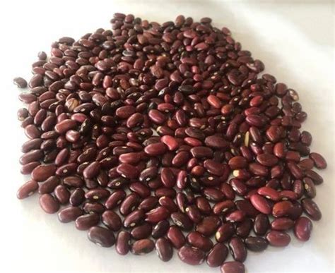 Red Rajma Dal At Rs 125 Kg Pharwahi Barnala Id 2853761939830