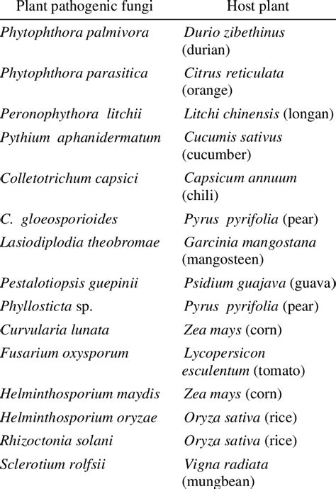 Species Of Plant Pathogenic Fungi From Various Diseased Fruits And