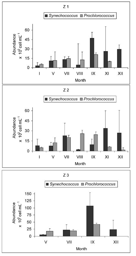 Seasonal Fluctuations Of Synechococcus And Prochlorococcus In The Area Download Scientific