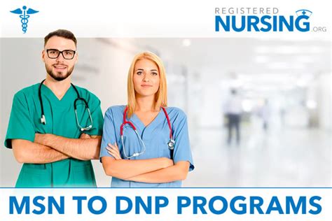 Online MSN To DNP Programs
