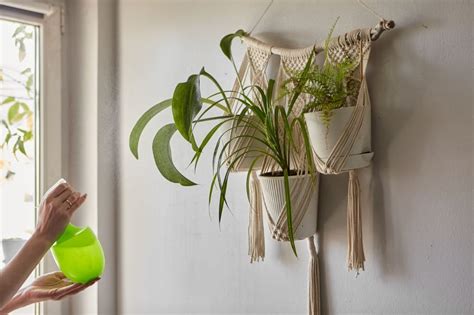 How To Make A Macrame Plant Hanger Sixty And Me