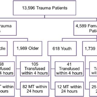 Number Of Transfusions By Sex Download Scientific Diagram