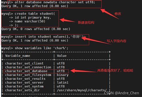 Mysql 默认字符集修改为 Utf8 ，解决mysql乱码输不了中文的问题sqlyog字符集没有utf8 Csdn博客