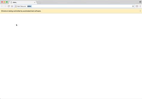 Chromedriver 237 Does Not Run Selenium Tests On The Latest Chrome Version 6503325181 · Issue