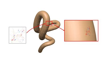Scaffold Mapping Tools Mapping Image Data