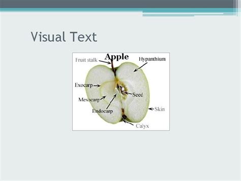 Chapter 3 Decoding Visual Arguments ENG 102 Visual