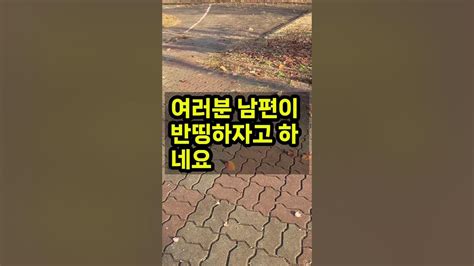 여러분 남편이 반띵하자고 하네요신청사연 쇼츠 Youtube