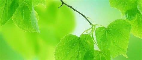 React Dynamic Contexts In Class Component