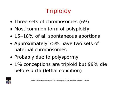 Karyotype Analysis Number Of Chromosomes Sex Chromosome Content