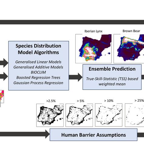 Methodological Workflow Applied To Integrate Species Distribution Download Scientific Diagram