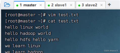 Hadoop集群测试集群功能测试 Csdn博客