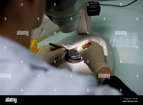 Dissecting Microscope Hi Res Stock Photography And Images Alamy