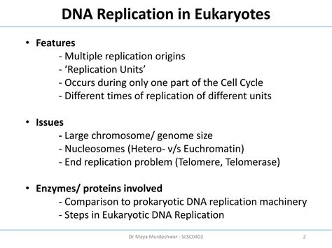 SOLUTION Dna Replication Eukaryotes Studypool
