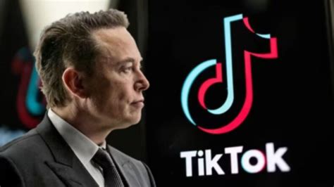 Elon Musk Buys Tiktok Telegraph Telegraph