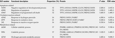 Functional Categorization Of Differentially Expressed Proteins