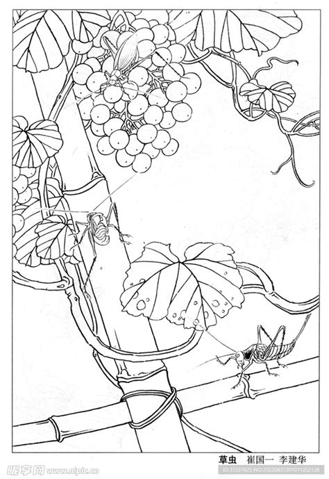 工笔花鸟设计图 绘画书法 文化艺术 设计图库 昵图网