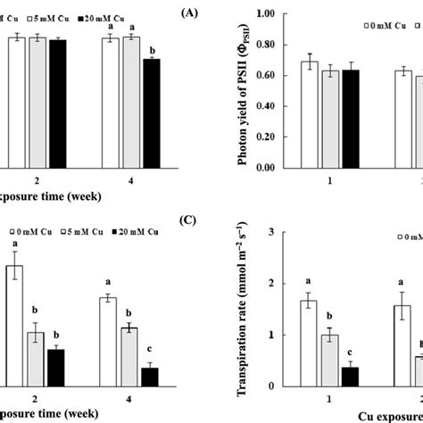 Maximum Quantum Yield Of Psii A Photon Yield Of Psii B Net