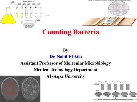 Solution Lab 10 Counting Bacteria Studypool