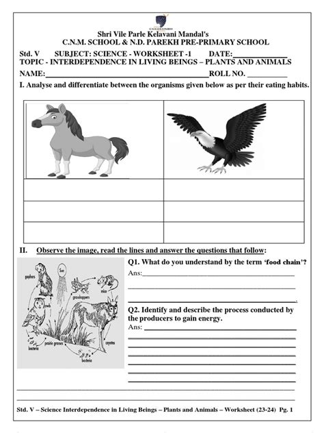 B15 Adaptations Interdependence And Competition Worksheet